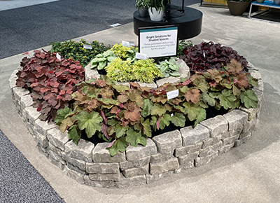 Darwin Perennials at Cultivate 2022