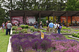 Registration Is Open for Darwin Perennials Day