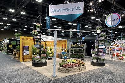 Darwin Perennials at Cultivate 2022