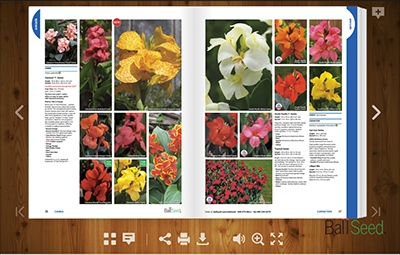 Darwin Perennials 2025 Catalog Available in New Digital Format